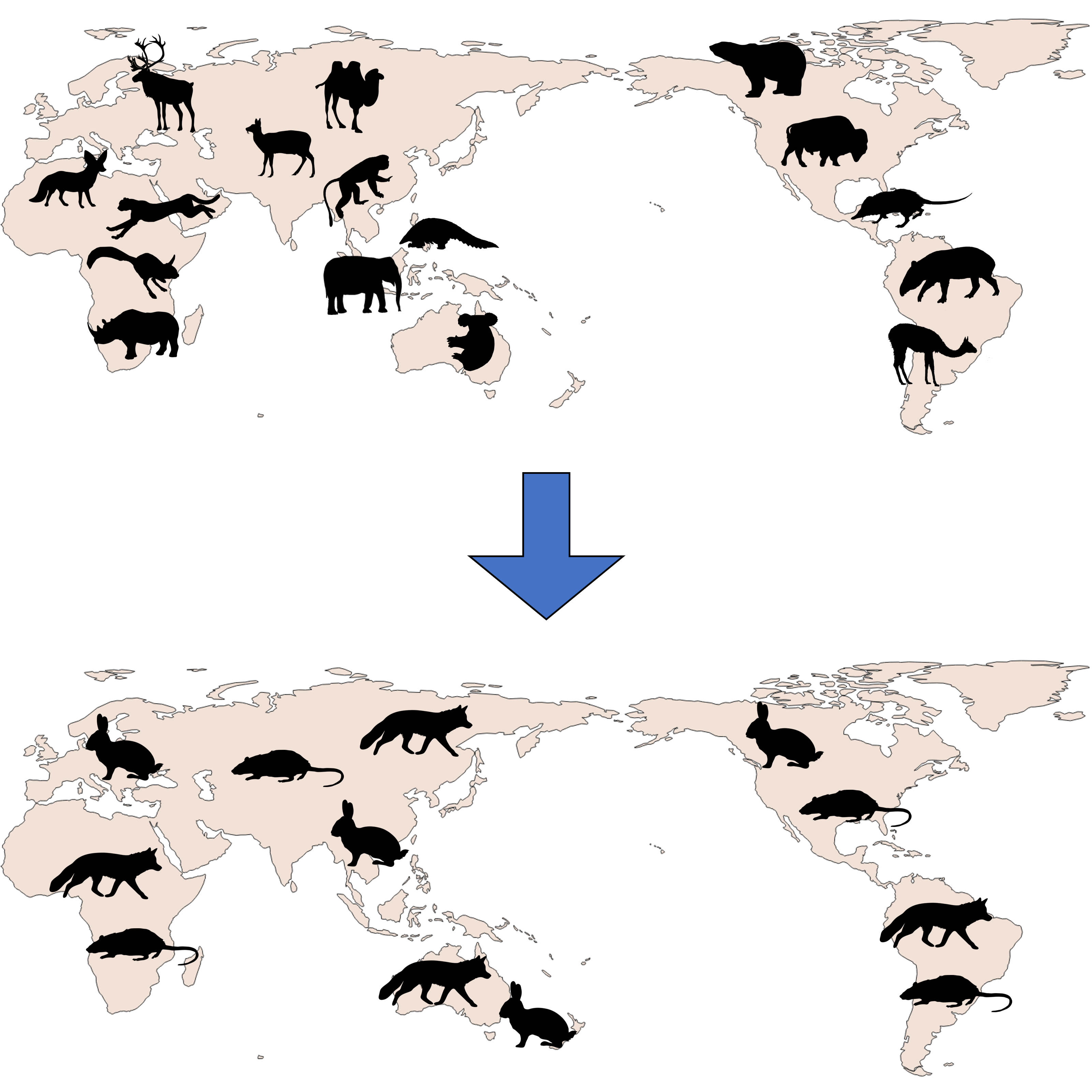 Research – Peter Williams